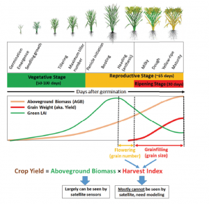 Agricultural Practice Improvement | Earth-i